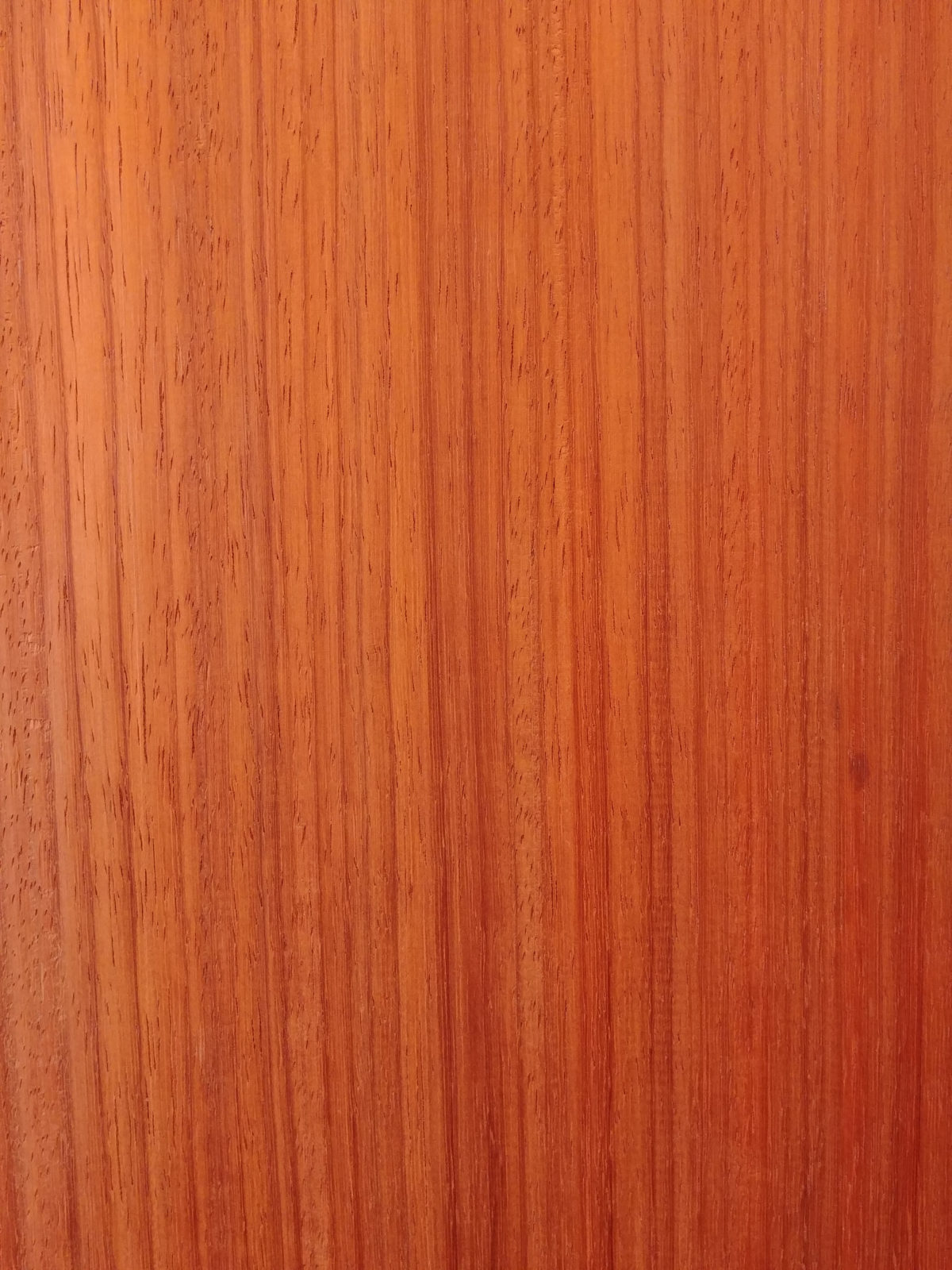 Padauk - Wood Shed
