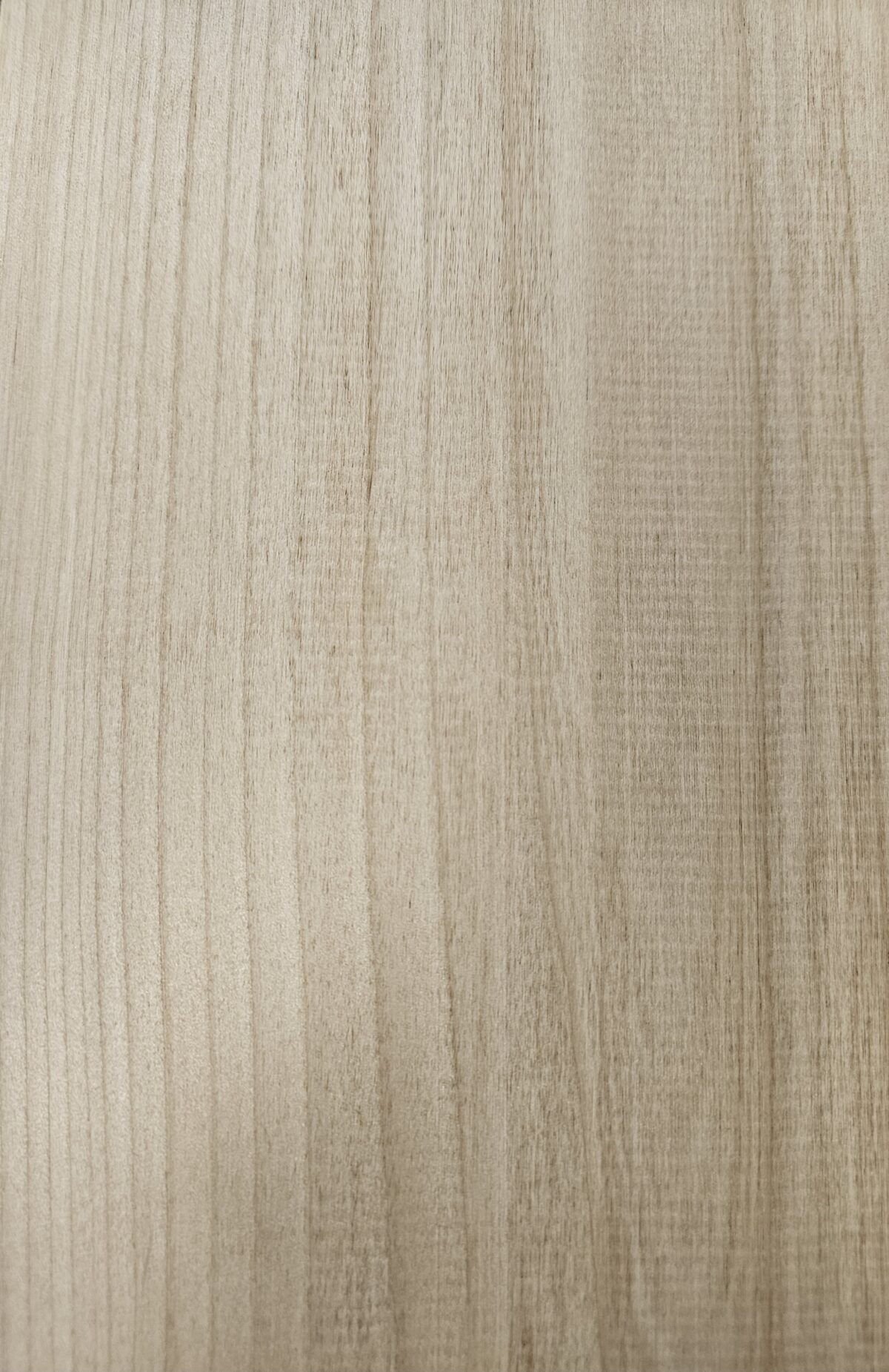 Birch - Wood Shed