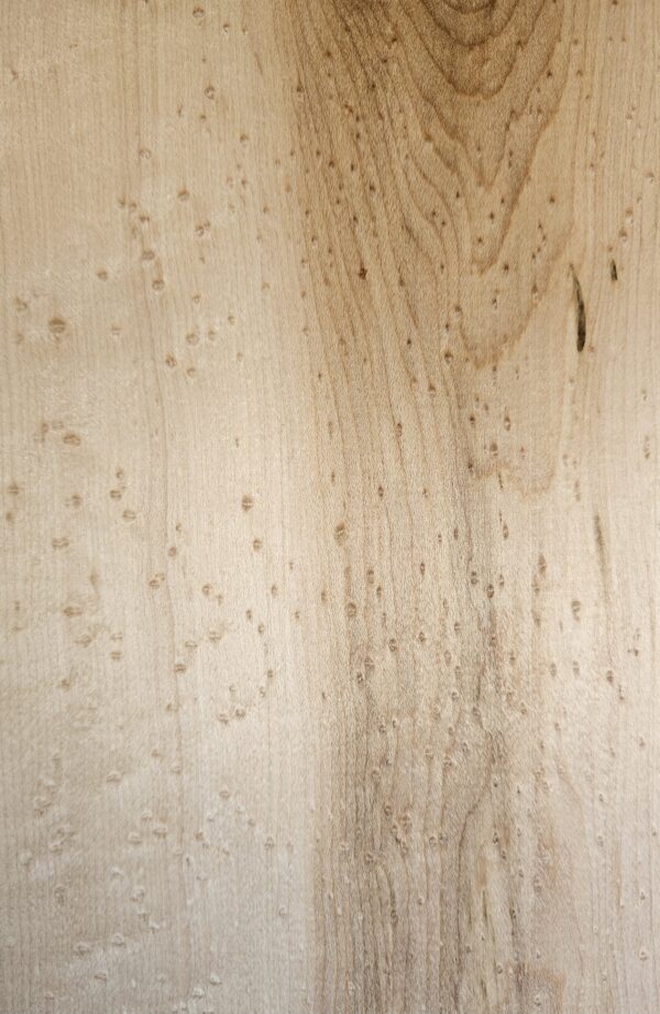 Bird's Eye Maple - Wood Shed