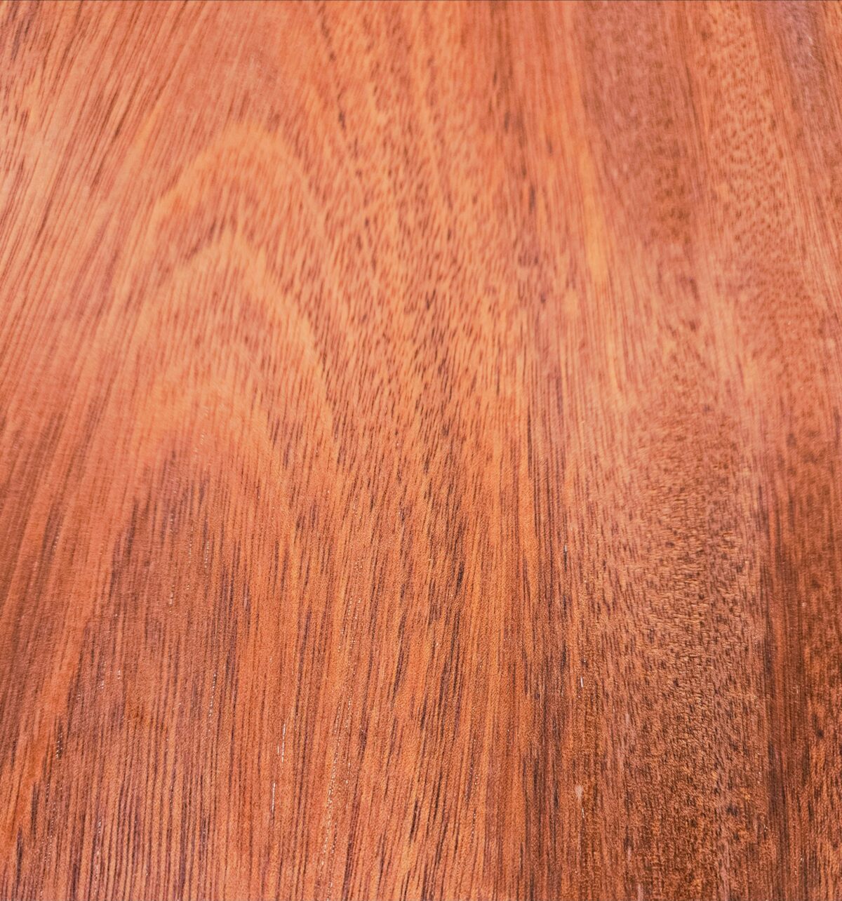 Bloodwood - Wood Shed