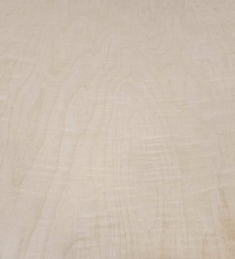 Curly Maple - Wood Shed